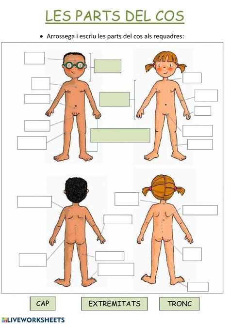 Anatomically Correct Printable Paper Dolls Artofit