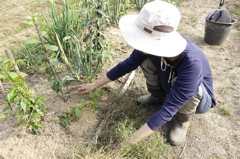 채소지지구농부이야기04 무주 장영란 농부 1