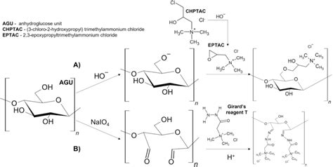 schematic representation of the cationic functionalization of cellulose