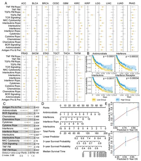 Clinical Relevance Of 17 IRPs Among 25 Cancer Types A Forest Plot Download Scientific