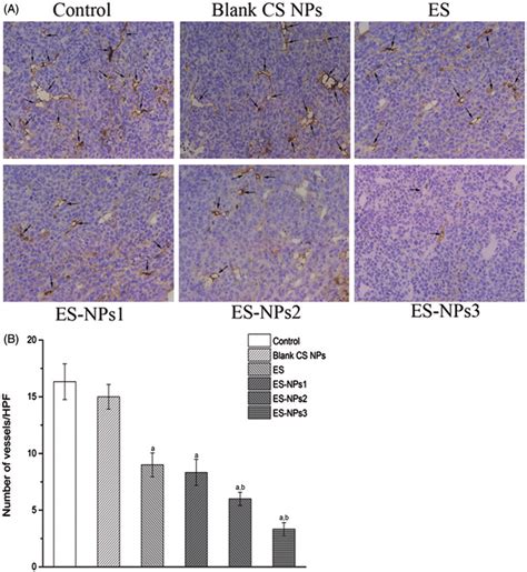 The Microvascular Density Mvd In Each Group A Tumor Vessels Were