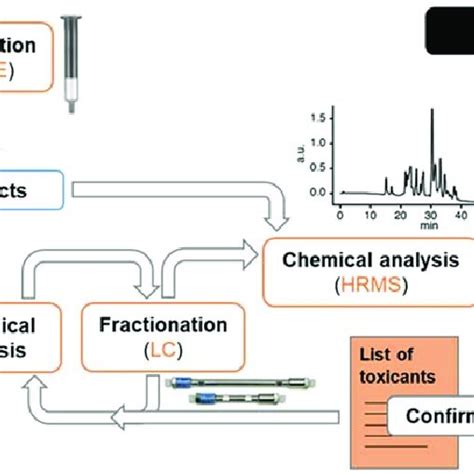 Schematic Representation Of The Workflow Entailed By The Download
