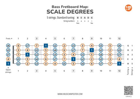 Guitar Fretboard Map Pdf With Scale Degrees In Drop Tuning