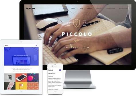 Piccolo Theme Review Themejug First Business Wordpress Theme