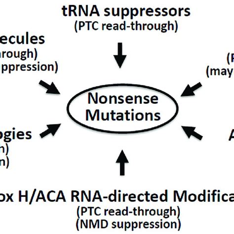 Pdf Suppression Of Nonsense Mutations By New Emerging Technologies