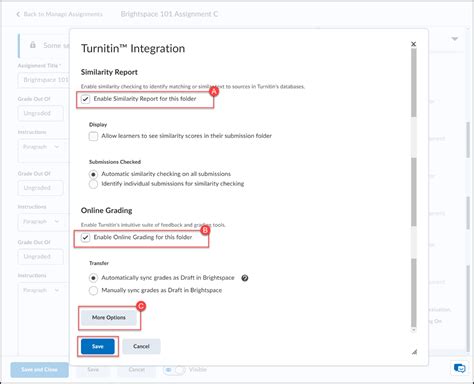 Turnitin Assignment Integration Student Submission And Grading Usc Brightspace Help