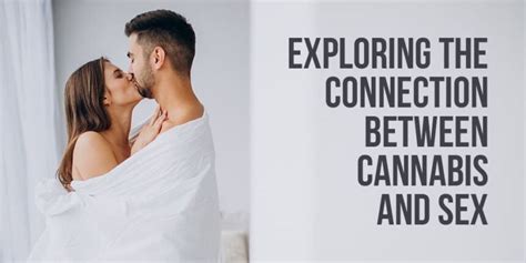 Exploring The Connection Between Cannabis And Sex APE Premium Cannabis