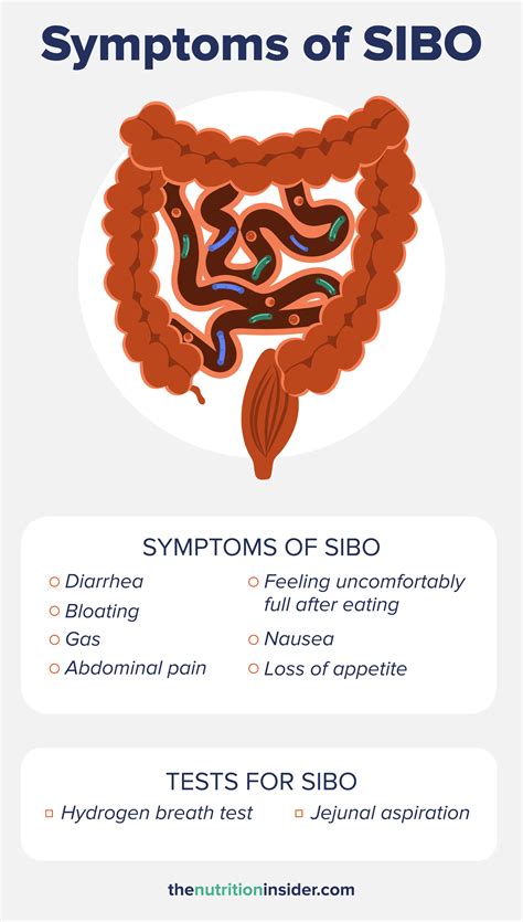 What Is Small Intestinal Bacterial Overgrowth Sibo