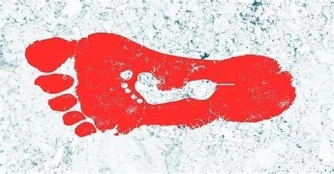 Author Max Brooks Takes On Bigfoot In His New Novel Devolution