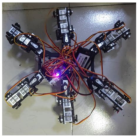 Research On The Design And Gait Planning Of A Hexapod Robot Based On Improved Triangular Gait
