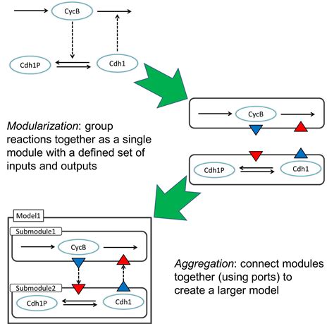 COPASI Projects JigCell Model Connector