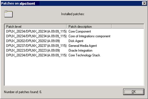 How To Check Patch Level Of A HPE Data Protector Client DbAppWeb Com