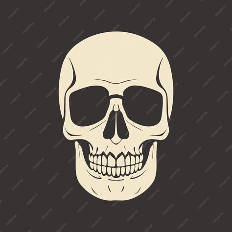 Premium Vector Anatomically Correct Human Skull