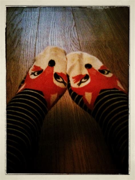 Super Cute Fox Socks Fox Socks Cute Fox Super Cute