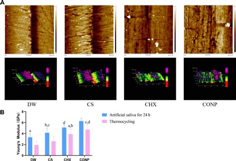 Three Dimensional Observation In The Resin Dentin Interface By Atomic Download Scientific