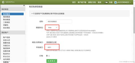 内网穿透natapp基础用法natapp怎么使用 Csdn博客