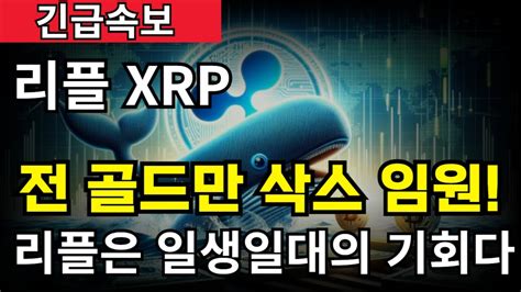 리플 여기까지 갑니다 정답지 확인하세요 Youtube