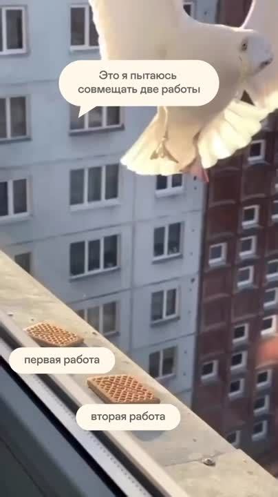 Mykhailo Fysiuk Posted On Linkedin