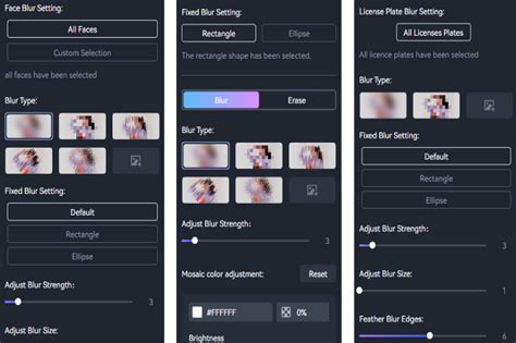 Welcome To AVCLabs Video Blur AI User Guide