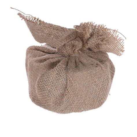 Vickerman 35 Ft Pine Pre Lit Artificial Christmas Tree With White Led