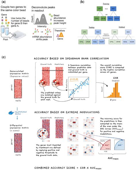 a schematic of the deconvolution procedure b overview of the data