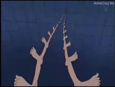 Anime Feet One Piece Nico Robin Bonus