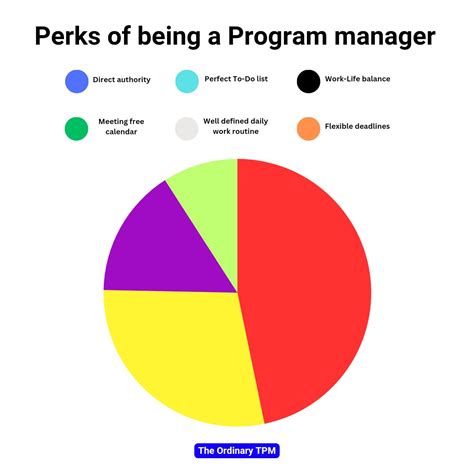 Arpit Shah On Linkedin Harsh Truth Being A Project And Program Manager