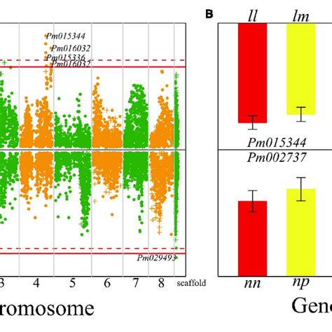Identification Of Quantitative Trait Loci Qtls For Flower Size