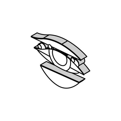 130 Blepharitis Stock Illustrations Royalty Free Vector Graphics