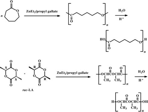 The Synthesis Of Biodegradable Polyesters Download Scientific Diagram