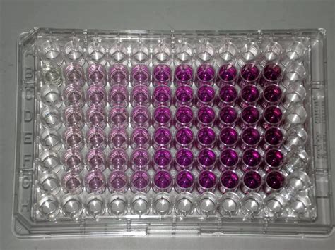 Mtt Assay For Cell Viability Pptx Chemistry Science