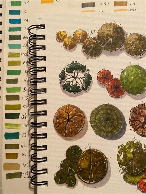 Architectural Marker Rendering Of Trees Plan