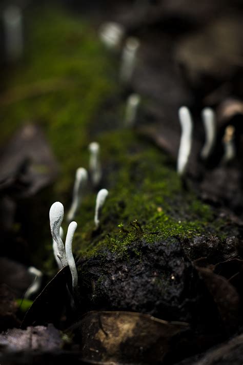 Sierra De Quila Images Behance