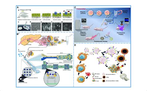 Cancer Diagnosis A An Integrative Microfluidic Device Imd For