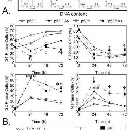 Cell Cycle Analysis And Cell Viability Download Scientific Diagram