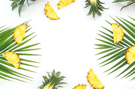 흰색 배경에 슬라이스 파인애플과 야자수 잎의 프레임입니다 플랫 레이 상단 보기 0명에 대한 스톡 사진 및 기타 이미지 0명 개념 개념과 주제 Istock