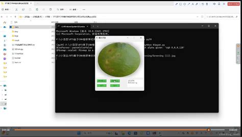 073基于cnn卷积神经网络的柑橘生长形态检测pyqt版本 Csdn博客