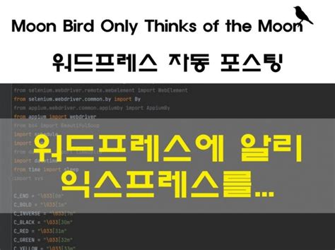 워드프레스에 알리익스프레스 어필리에이트 자동 포스팅 크몽