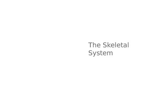 PPT Skeletal System Part DOKUMEN TIPS