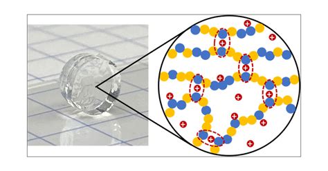 Ionogel Electrolytes Supported By Zwitterionic Copolymers Featuring