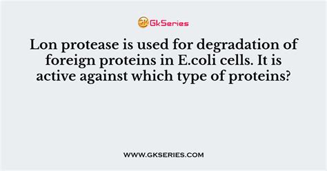 Lon Protease Is Used For Degradation Of Foreign Proteins In Li