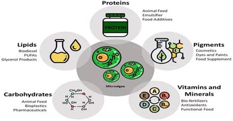 A New Method Of Synthesizing Small Molecules For Long Term Use Assignment Point