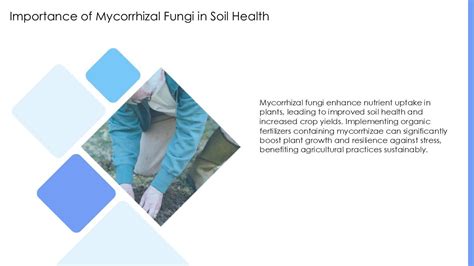 Top 10 Organic Fertilizer Powerpoint Presentation Templates In 2026