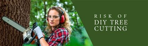 Safety First The Risks Of DIY Tree Cutting