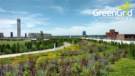 Green Roof Plant Selection Guidelines