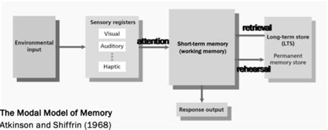 cog pro topic 4 memory acquisition and wm flashcards quizlet