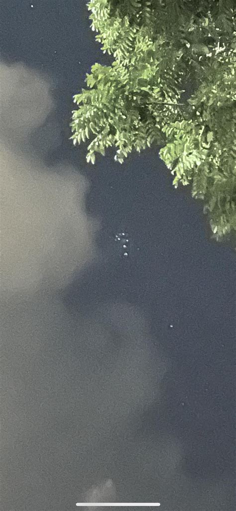 Can Anyone Identify This Small Constellation Taken In Thailand R