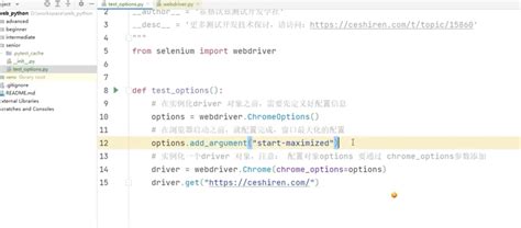 软件测试 测试开发丨web自动化 option 常用操作headless无头浏览器selenium option 常用操 掘金