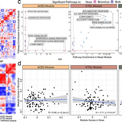Consensus Nasal And Bronchial Ve Gene Modules Are Associated With