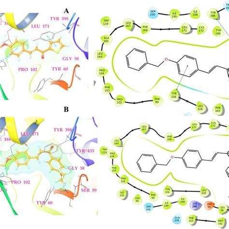 The 2d And 3d Binding Poses Of Promising Compounds B10 A And B15 B